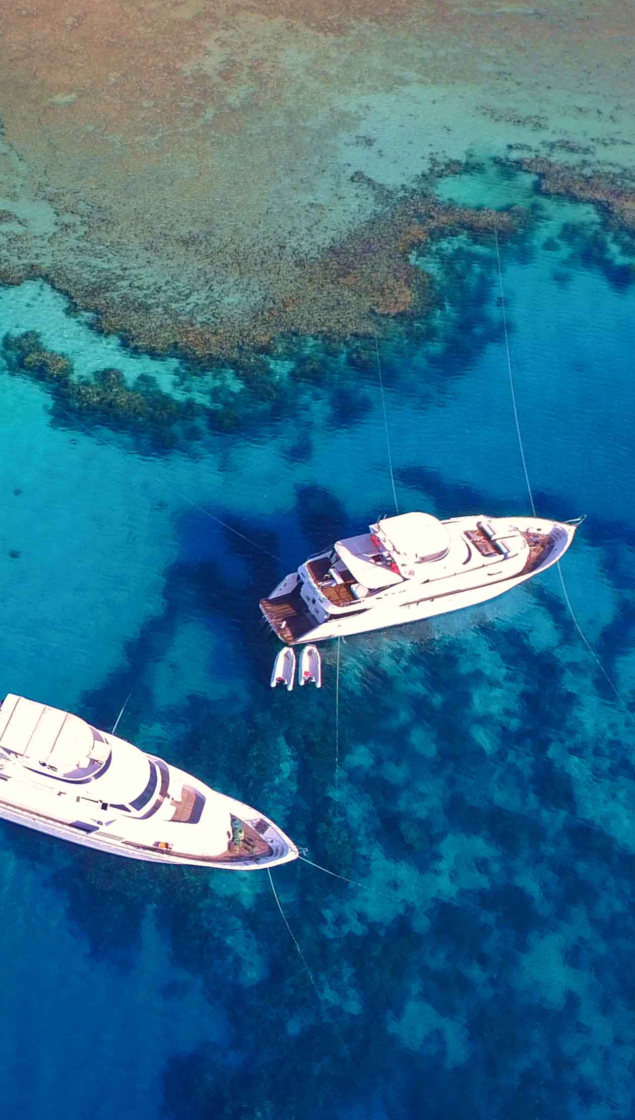 64 Liveaboards in Red Sea, Egypt - LiveAboard.com