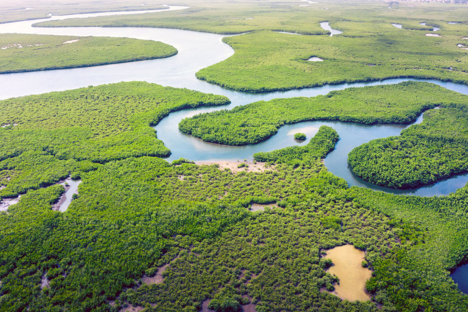 8 River cruises on the Amazon - LiveAboard.com