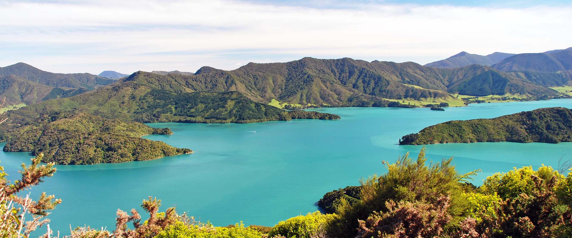Adventure Cruise Ships in Marlborough Sounds, New Zealand - LiveAboard.com