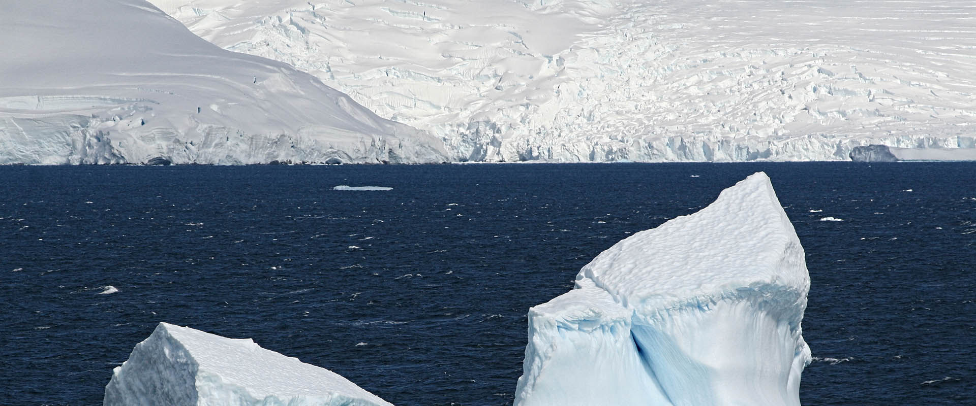 3 Liveaboards in Melchior Islands, Antarctica - LiveAboard.com