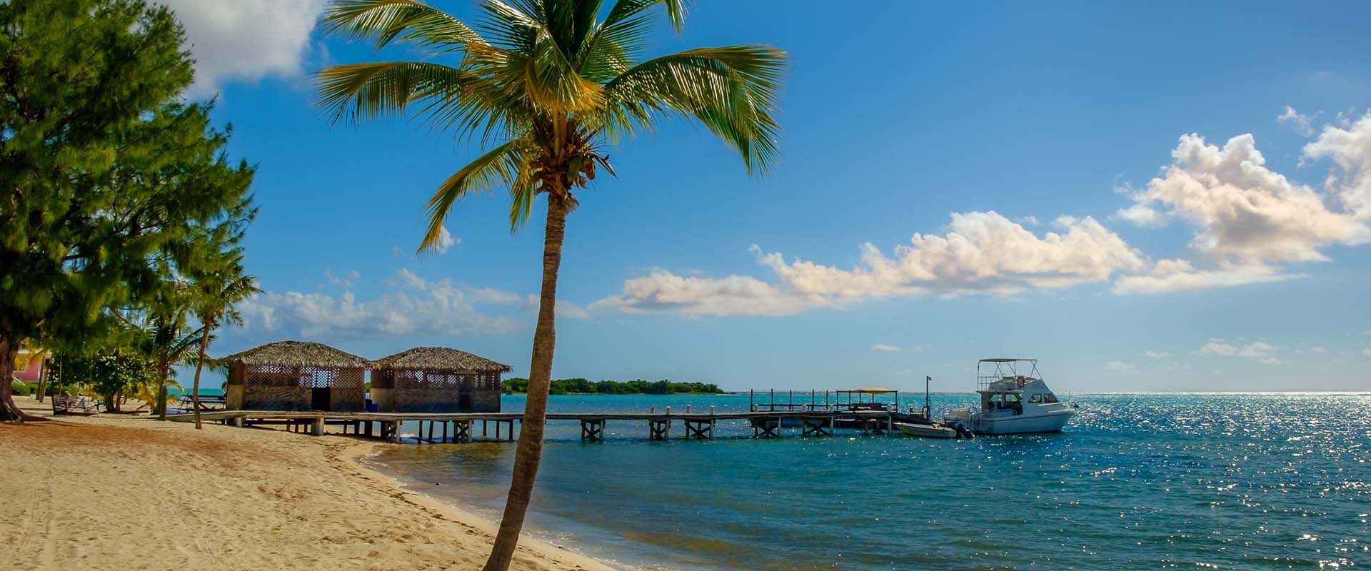 Liveaboards in Little Cayman, Cayman Islands - LiveAboard.com