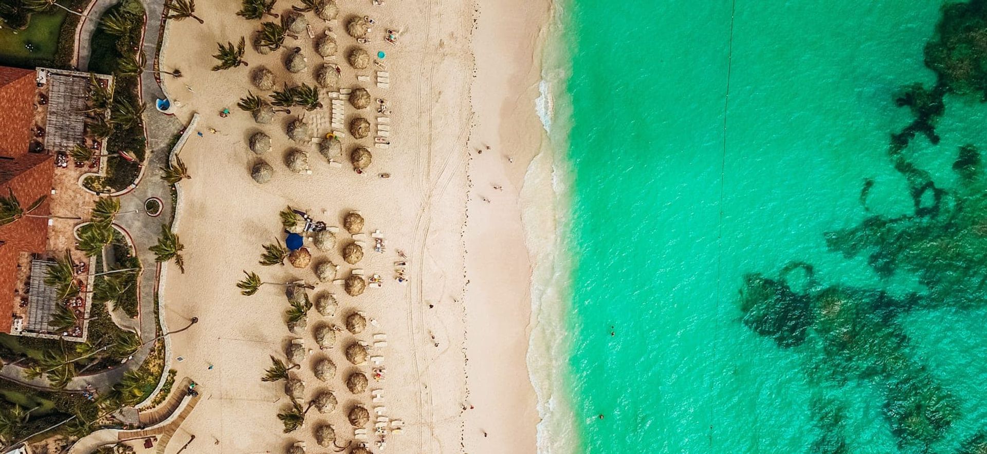 Browse Diving Liveaboard in Dominican Republic with July, 2027 Departures