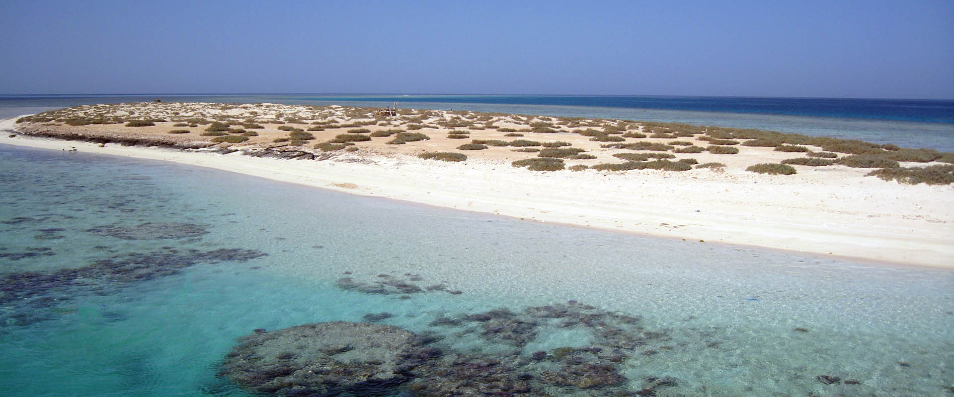 10 Liveaboards in Hamata, Egypt - LiveAboard.com