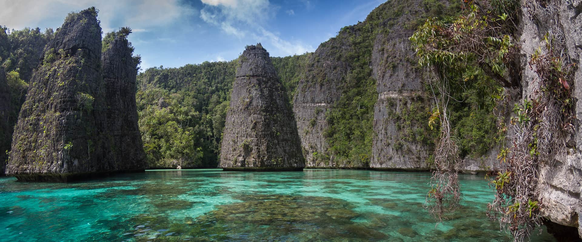 59 Liveaboards in Misool, Indonesia - LiveAboard.com