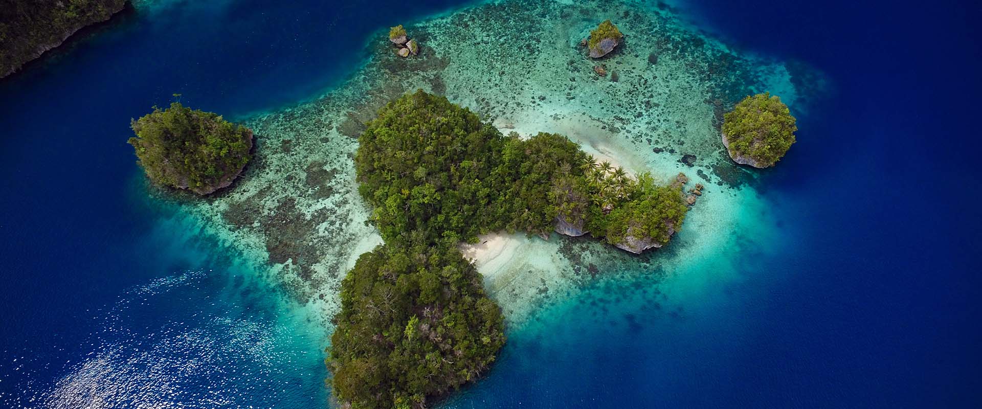 32 Liveaboards in Waigeo, Indonesia - LiveAboard.com