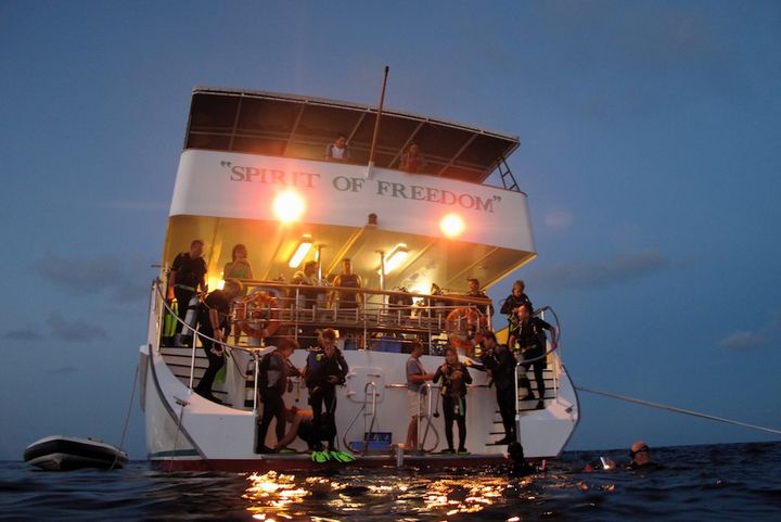 Spirit of Freedom, Australia - LiveAboard.com