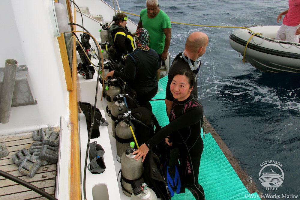 Fiji Aggressor, Fiji - LiveAboard.com