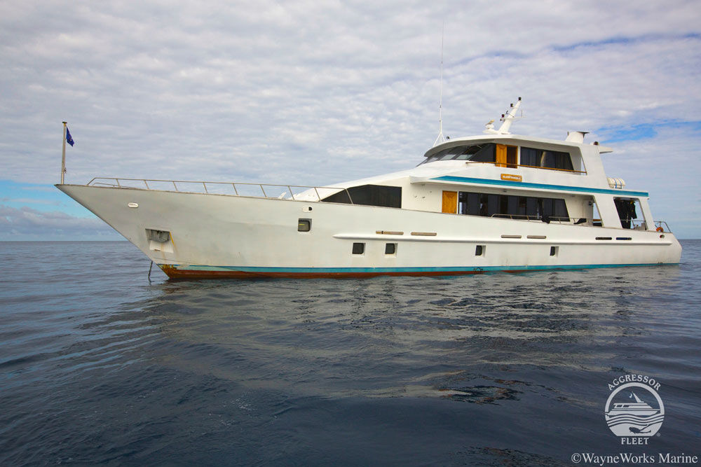 Fiji Aggressor, Fiji - LiveAboard.com