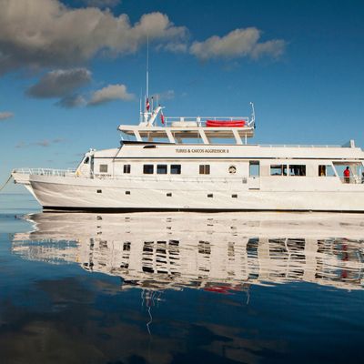 Turks and Caicos Aggressor II, Dominican Republic - LiveAboard.com