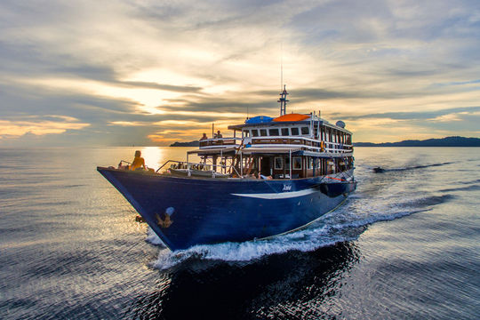 Ambai Liveaboard, Indonesia - LiveAboard.com