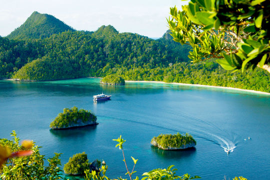 Ambai Liveaboard, Indonesia - LiveAboard.com