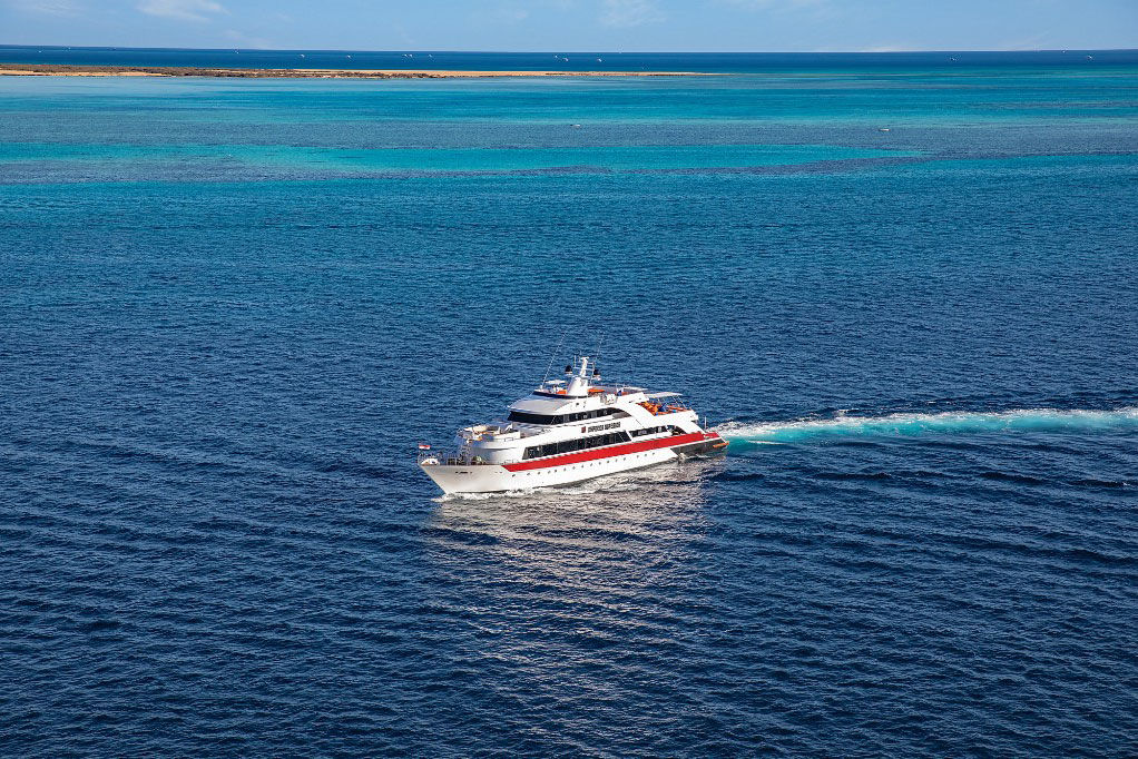 Emperor Superior 리브어보드, 이집트 - LiveAboard.com