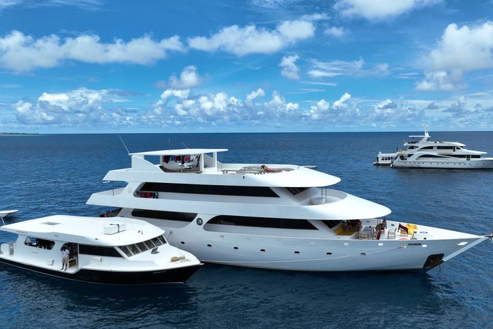 Princess Rani, Maldives - LiveAboard.com