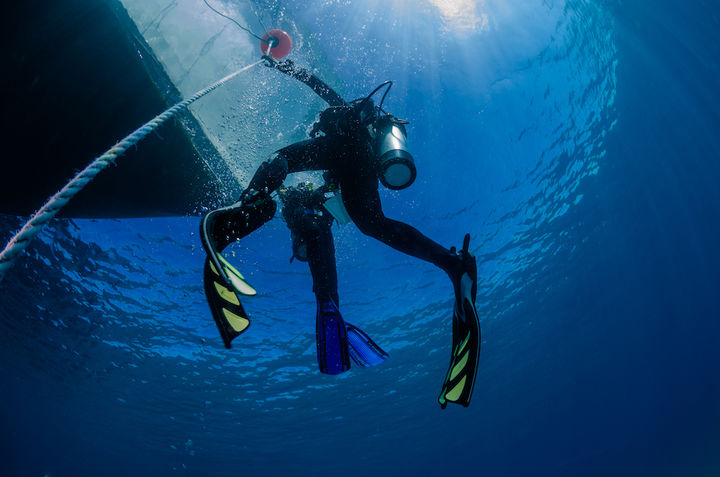 Pro Dive Cairns Liveaboard, Australia - LiveAboard.com