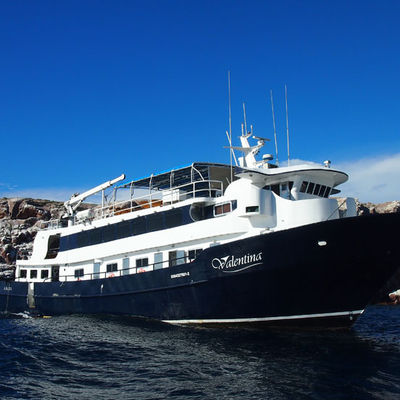 Valentina Liveaboard, Mexico - LiveAboard.com