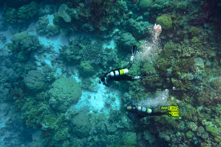Ocean Quest Liveaboard, Australia - LiveAboard.com