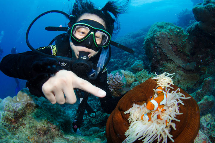 Ocean Quest Liveaboard, Australia - LiveAboard.com