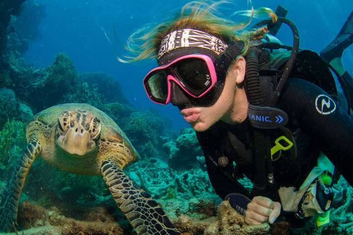 Ocean Quest Liveaboard, Australia - LiveAboard.com