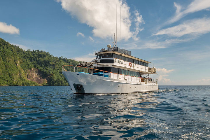 Febrina, Papua New Guinea - LiveAboard.com
