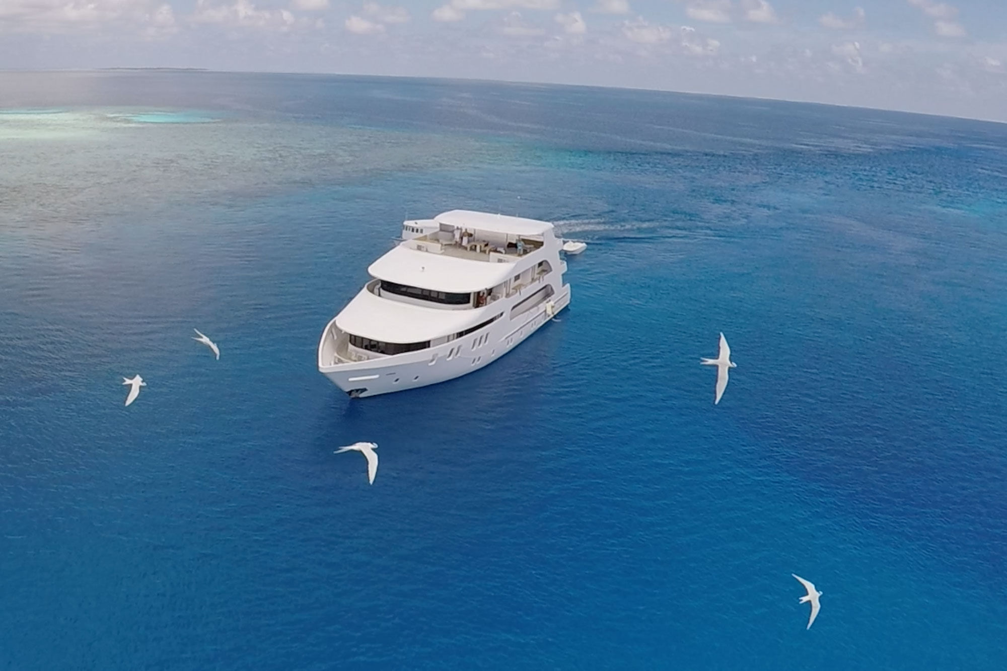 Adora Liveaboard, Maldives - LiveAboard.com