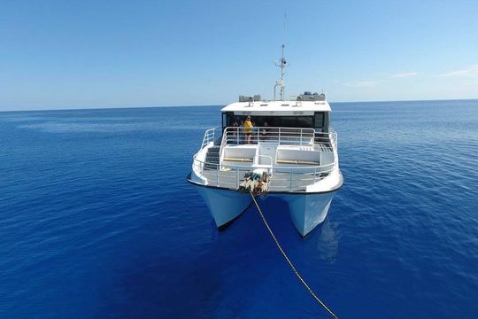 Odyssey Liveaboard, Australia - LiveAboard.com