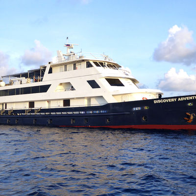 Discovery Adventure 리브어보드, 미크로네시아 - LiveAboard.com