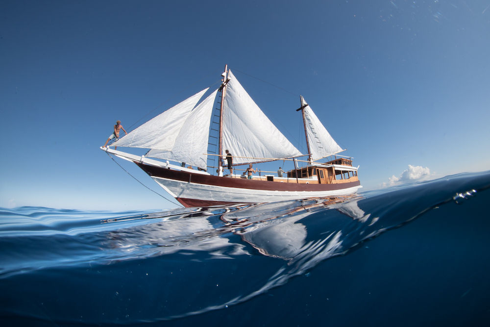 Kira Kira Liveaboard, Indonesia - LiveAboard.com