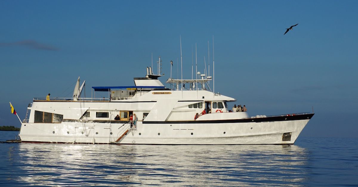 Beluga Cruise Ship, Galapagos - LiveAboard.com