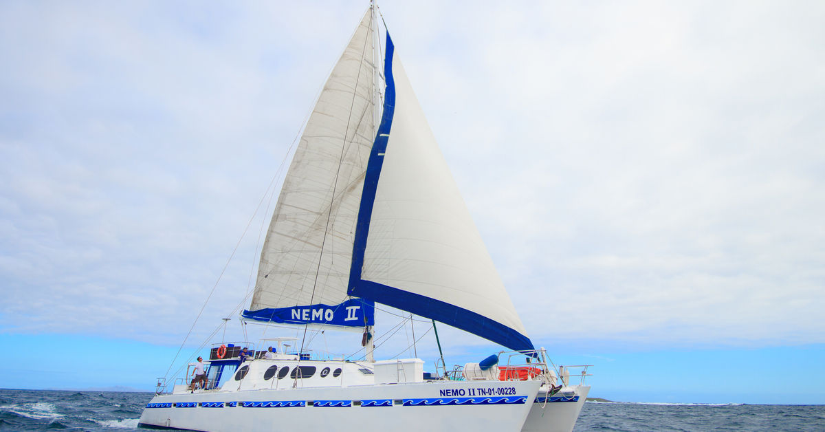 Nemo II Cruise Ship, Galapagos - LiveAboard.com