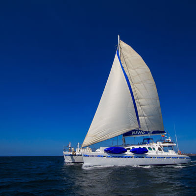 Nemo III Cruise Ship, Galapagos - LiveAboard.com