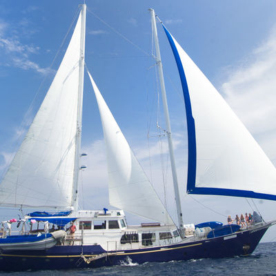 Beagle Cruise Ship, Galapagos - LiveAboard.com