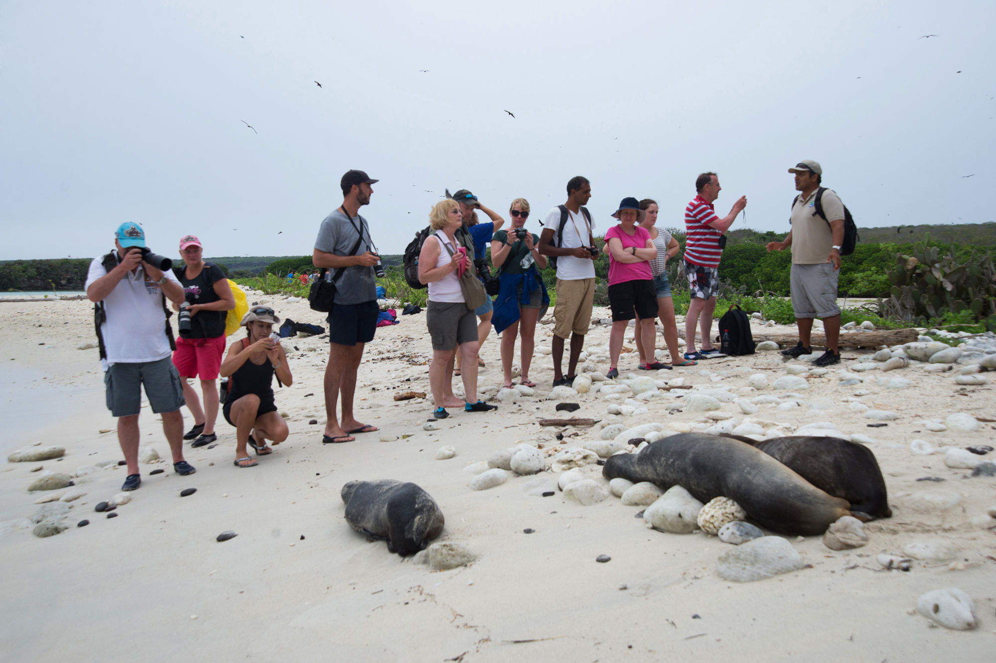 Beagle Cruise Ship, Galapagos - LiveAboard.com