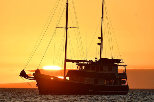 Samba Cruise Ship, Galapagos - LiveAboard.com