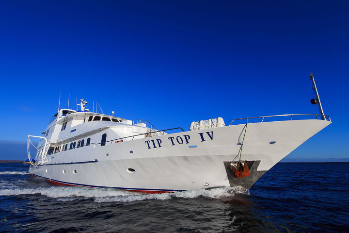 Tip Top IV, Galapagos - LiveAboard.com