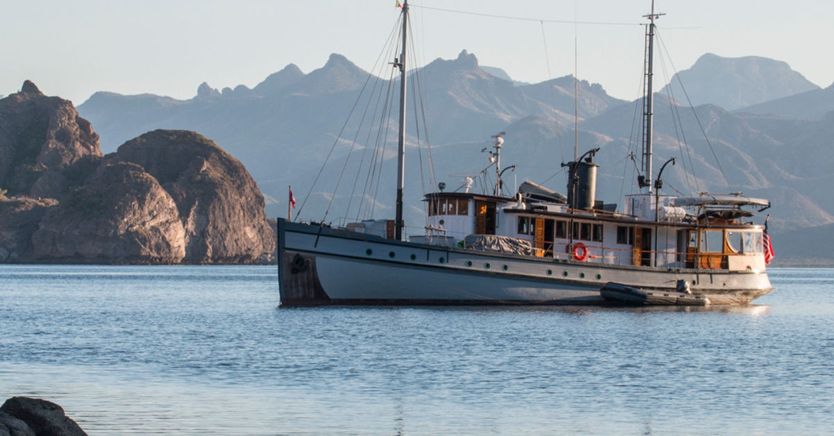 Westward Cruise Ship, Mexico - LiveAboard.com
