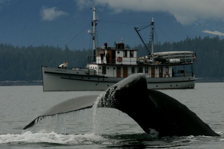 Catalyst Cruise Ship, Alaska - LiveAboard.com