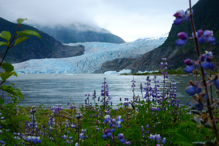 Chichagof Dream, Alaska - LiveAboard.com