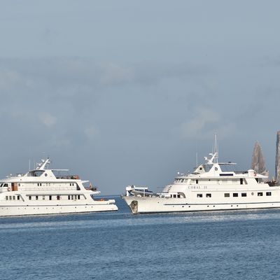Coral I and II, Galapagos - LiveAboard.com