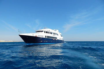 72 Liveaboards in Egypt - LiveAboard.com