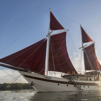 Tiare Cruise, Indonesia - LiveAboard.com