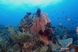 Ratu Laut, Indonesia - LiveAboard.com