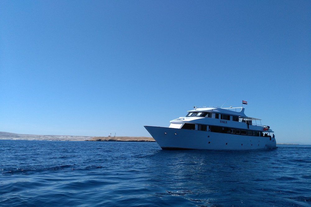 Tala Liveaboard, Egypt - LiveAboard.com