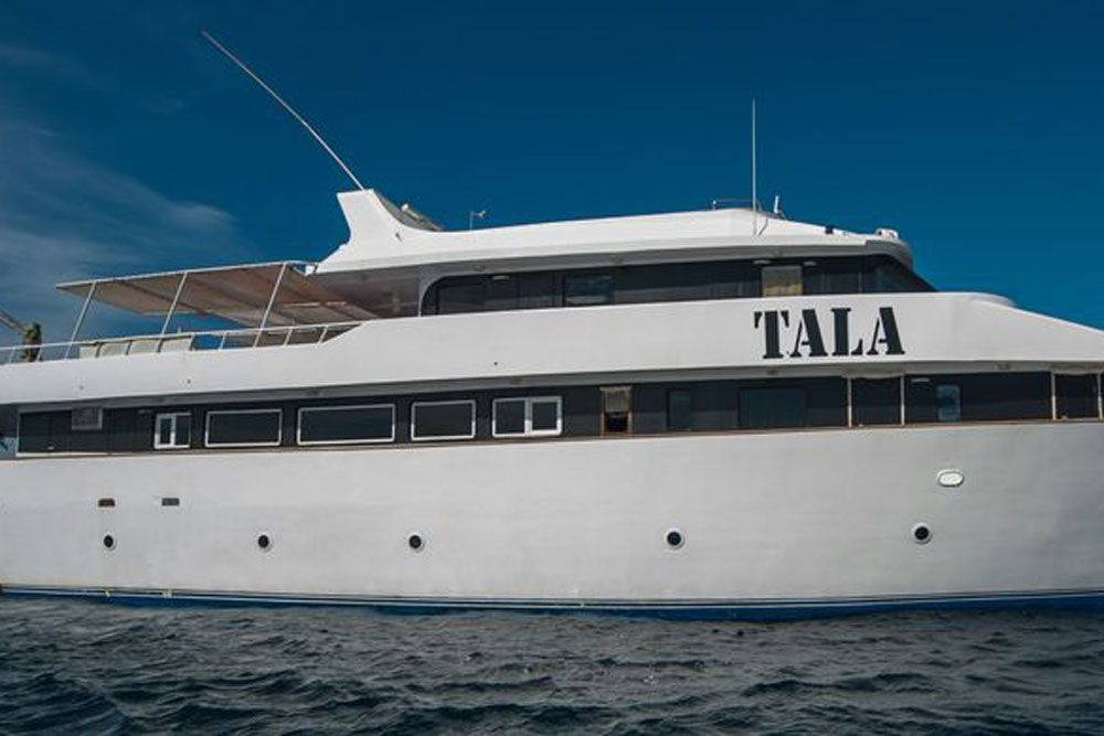 Tala Liveaboard, Egypt - LiveAboard.com