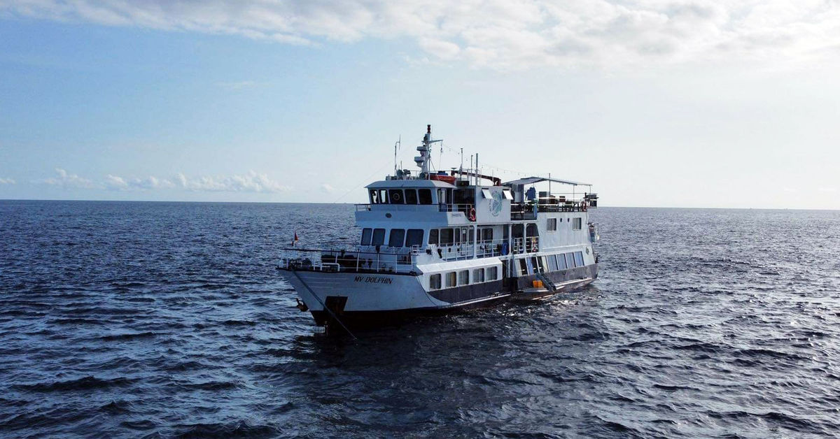 Dolphin Liveaboard, Philippines - LiveAboard.com