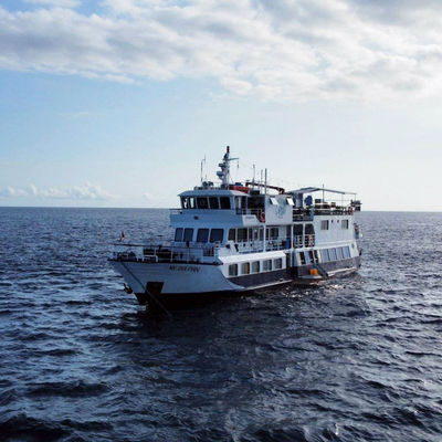 Dolphin Liveaboard, Philippines - LiveAboard.com