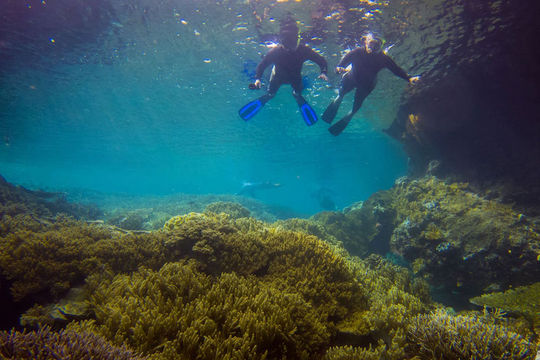 Wisesa, Indonesia - LiveAboard.com