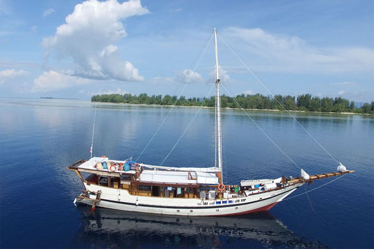 Wisesa, Indonesia - LiveAboard.com