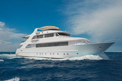 68 Liveaboards in Egypt - LiveAboard.com