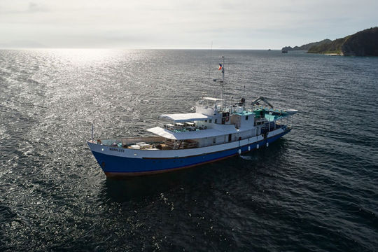 LiveAboard.com: 482 Liveaboards. 38244 Diving trips.
