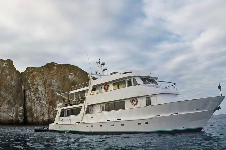 Eden Cruise Ship, Galapagos - LiveAboard.com
